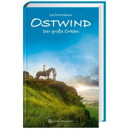 cbj Der große Orkan / Ostwind Bd.6 - Lea Schmidbauer, Gebunden