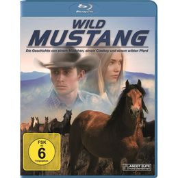 Wild Mustang (Blu-ray)