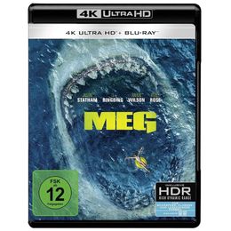 WBHE MEG (4K Ultra HD)