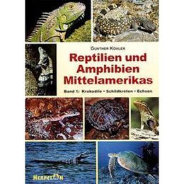 Reptilien und Amphibien Mittelamerikas: Bd.1 Krokodile, Schildkröten, Echsen - Gunther Köhler, Kartoniert (TB)