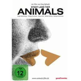 Indigo Animals - Stadt Land Tier (DVD)