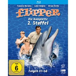 Flipper - Staffel 2 (Blu-ray)