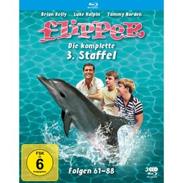 Flipper - Staffel 3 (Blu-ray)
