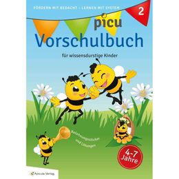 Picu Vorschulbuch, Kartoniert (TB)