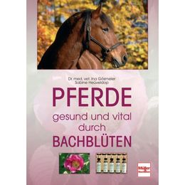 Müller Rüschlikon Pferde - gesund und vital durch Bachblüten - Ina Gösmeier, Sabine Heüveldop, Gebunden