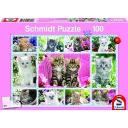 Schmidt Spiele Katzenbabies (Kinderpuzzle)