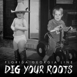 Universal Dig Your Roots - Florida Georgia Line. (CD)