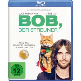 Bob, der Streuner (Blu-ray)