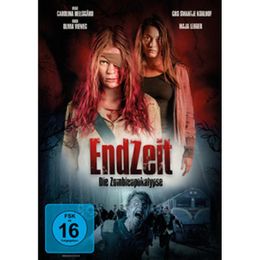 Lighthouse Endzeit (DVD)