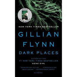 Dark Places - Gillian Flynn, Taschenbuch