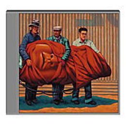 Universal Amputechture - The Mars Volta. (CD)