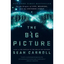 The Big Picture - Sean Carroll, Gebunden