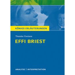 Theodor Fontane 'Effi Briest' - Theodor Fontane, Taschenbuch
