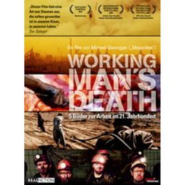 Indigo Workingman's Death (DVD)