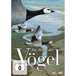 Die Reise der Vögel (DVD)