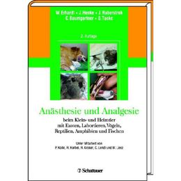 Anästhesie und Analgesie beim Klein- und Heimtier, Gebunden