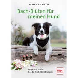 Müller Rüschlikon Bach-Blüten für meinen Hund - Alexandra Hoffmann, Gebunden