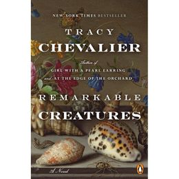 Plume Remarkable Creatures - Tracy Chevalier, Kartoniert (TB)