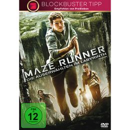 Fox Maze Runner (DVD)