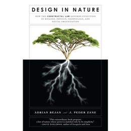 Design in Nature - Adrian Bejan, J. Peder Zane, Taschenbuch