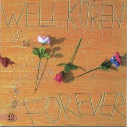Forever, 1 Audio-CD - Wellküren (Hörbuch)