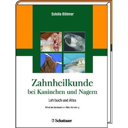 Zahnheilkunde bei Kaninchen und Nagern - Estella Böhmer, Gebunden