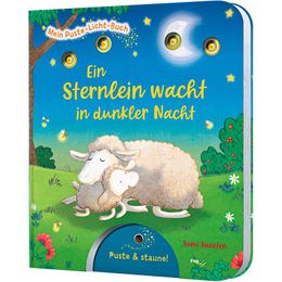 Mein Puste-Licht-Buch: Ein Sternlein wacht in dunkler Nacht - Sylvia Tress, Pappband