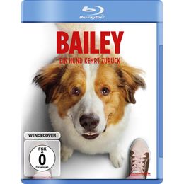 Bailey - Ein Hund kehrt zurück (Blu-ray)