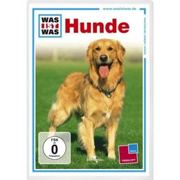 Was ist was: Hunde - Klug, treu, Freunde! (DVD)