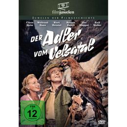 Der Adler vom Velsatal (DVD)