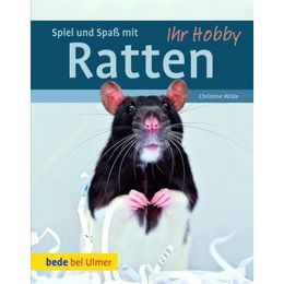Spiel und Spaß mit Ratten - Christine Wilde, Gebunden