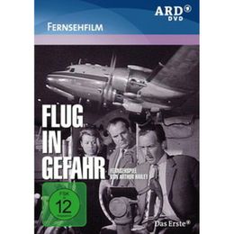 In-Akustik Flug in Gefahr (DVD)