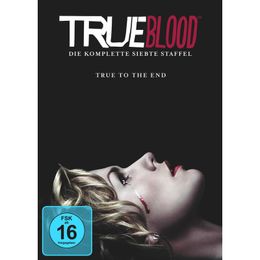 Warner Home Video True Blood - Staffel 7 (DVD)