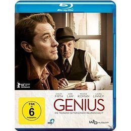 Genius - Die tausend Seiten einer Freundschaft (Blu-ray)