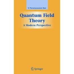 Springer Quantum Field Theory - V. P. Nair, Gebunden