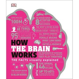 How the Brain Works - Dk, Gebunden