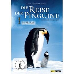 Studiocanal Die Reise der Pinguine (DVD)