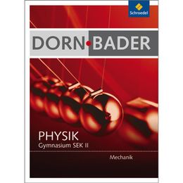 Dorn / Bader Physik SII - Ausgabe 2010, Kartoniert (TB)