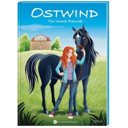 Für immer Freunde / Ostwind für Erstleser Bd.1 - Thilo, Gebunden