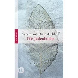 Die Judenbuche - Annette von Droste-Hülshoff, Taschenbuch