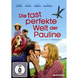 Indigo Die fast perfekte Welt der Pauline (DVD)
