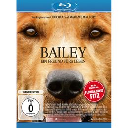 Bailey - Ein Freund fürs Leben (Blu-ray)