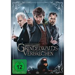Warner Home Video Phantastische Tierwesen: Grindelwalds Verbrechen (DVD)