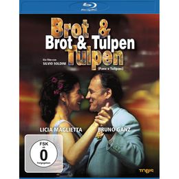 LEONINE Brot und Tulpen (Blu-ray)