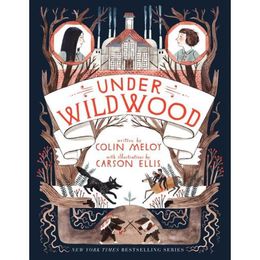 Under Wildwood - Colin Meloy, Kartoniert (TB)