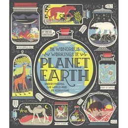 Penguin Random House The Wondrous Workings of Planet Earth - Rachel Ignotofsky, Gebunden