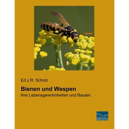 Bienen und Wespen - Ed.J.R. Scholz, Kartoniert (TB)