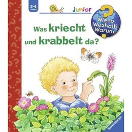 RAVENSBURGER VERLAG Was kriecht und krabbelt da? / Wieso? Weshalb? Warum? Junior Bd.36 - Irmgard Eberhard, Pappband