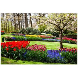 Wallario Acrylglasbild, Bunte Blumen und Kirsch-Baum im Park blühen im Frühling