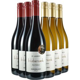 Weingut Habersack Kennenlern-Paket Trocken - Burgenland &ndash; Probierpaket Qualit&auml;tswein